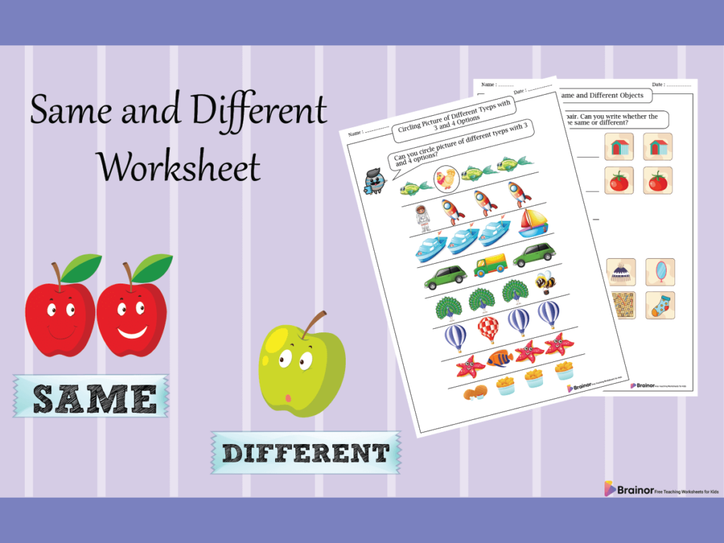 35+ Same and Different Worksheet | Free Printable - Brainor