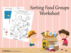 15 Sorting Food Groups Worksheet | Free Printable - Brainor