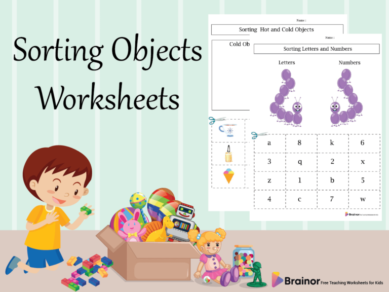 15+ Sorting Objects Worksheets | Free Printable
