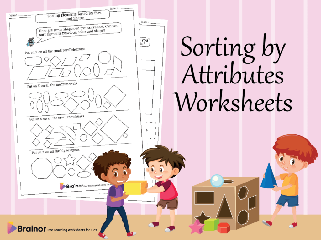 40+ Sorting by Attributes Worksheets | Free Printable - Brainor