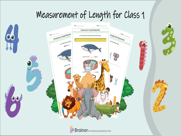 15 Free Worksheets on Measurement of Length for Class 1