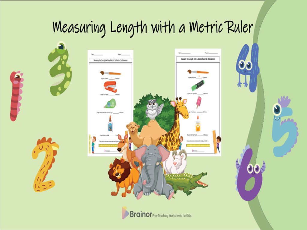 12 Free Worksheets on Measuring Length with a Metric Ruler