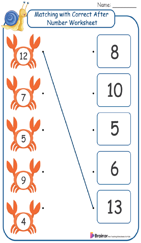 24 After Numbers Worksheet | Free Printables