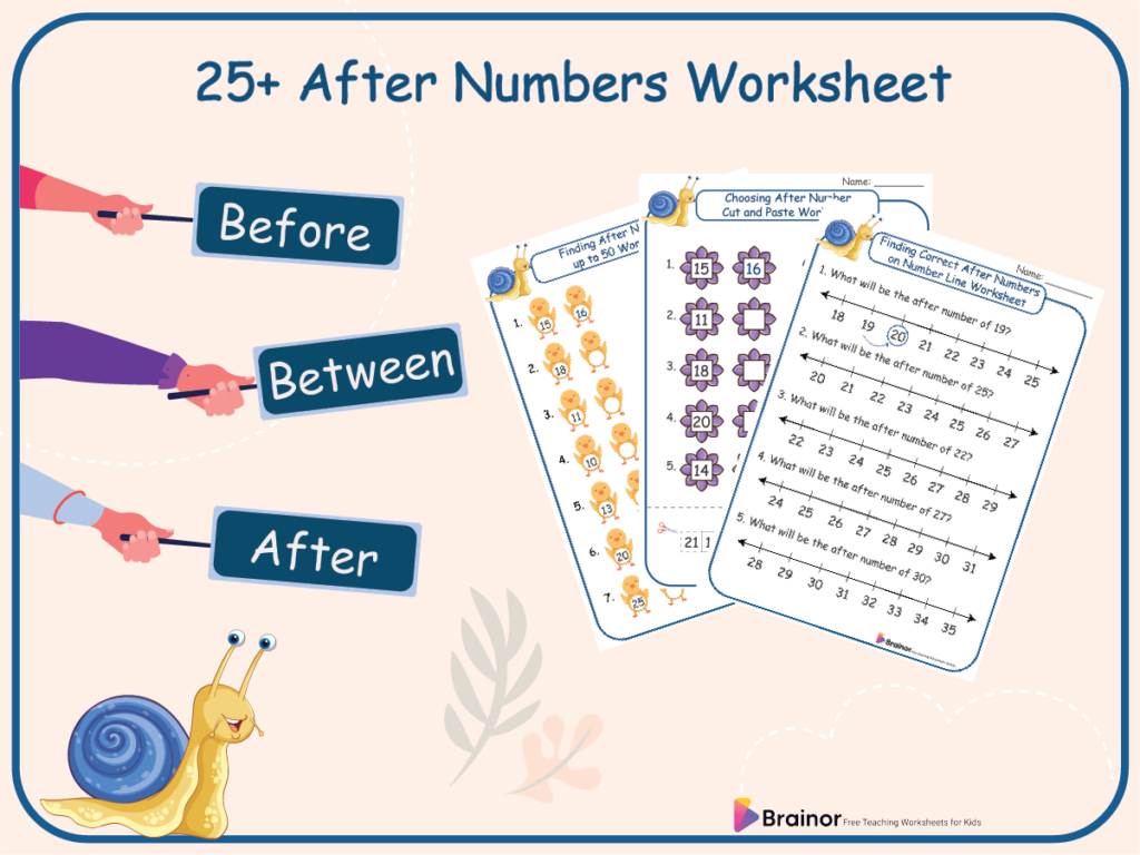 24 After Numbers Worksheet | Free Printables