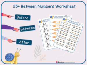 24 Between Numbers Worksheet | Free Printable
