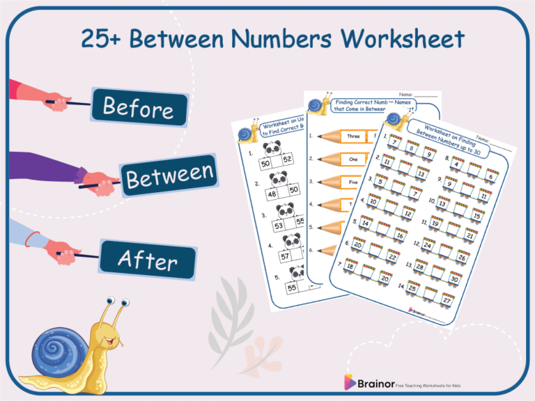 24 Between Numbers Worksheet | Free Printable