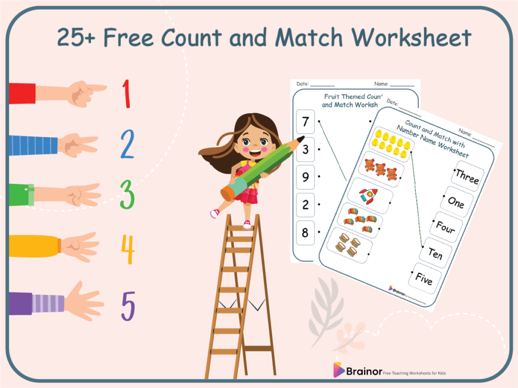 25+ Free Count and Match Worksheet