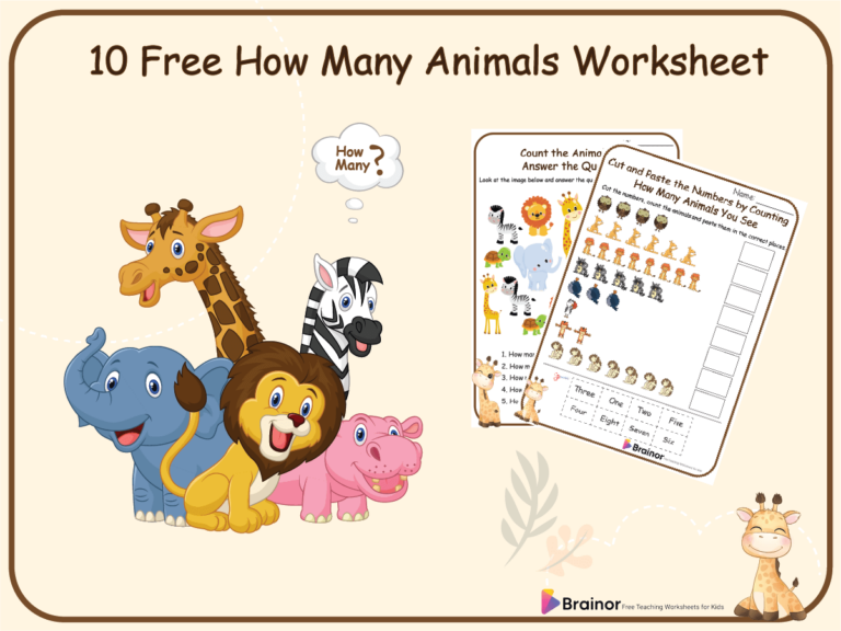 20 How Many Animals Worksheet | Free Printable